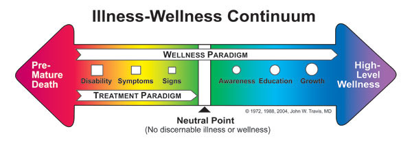 The Holistic Wellness Model - Kaizen Leadership Institute The Holistic Wellness Model - Kaizen Leadership Institute